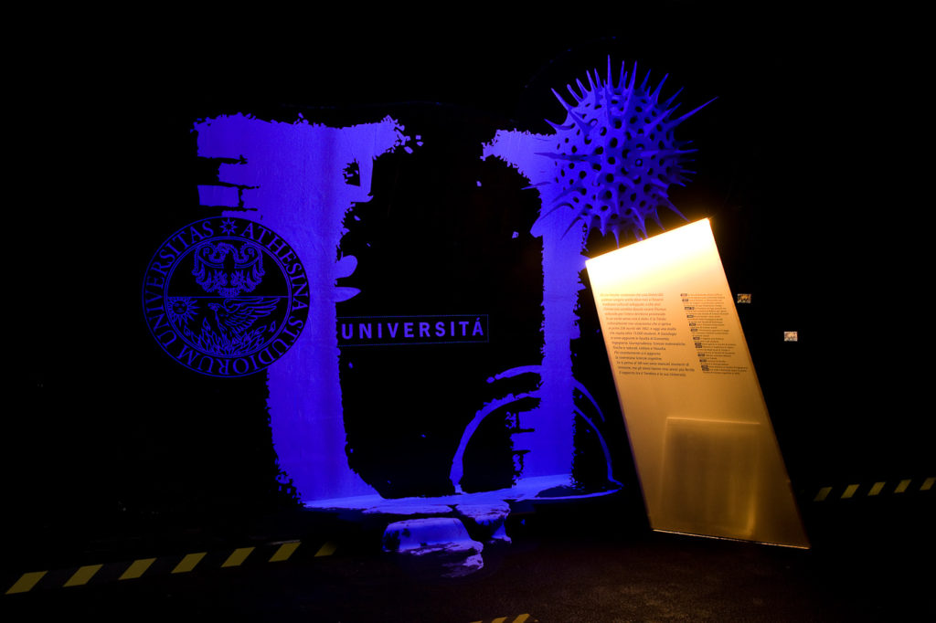 Exhibitions, curatorial projects, museums, design juries, museum boards ...